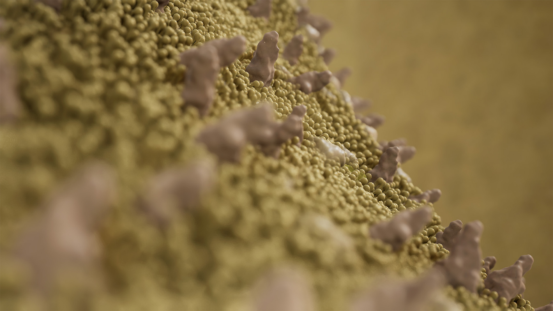3D liver cell - NEED immersive reality